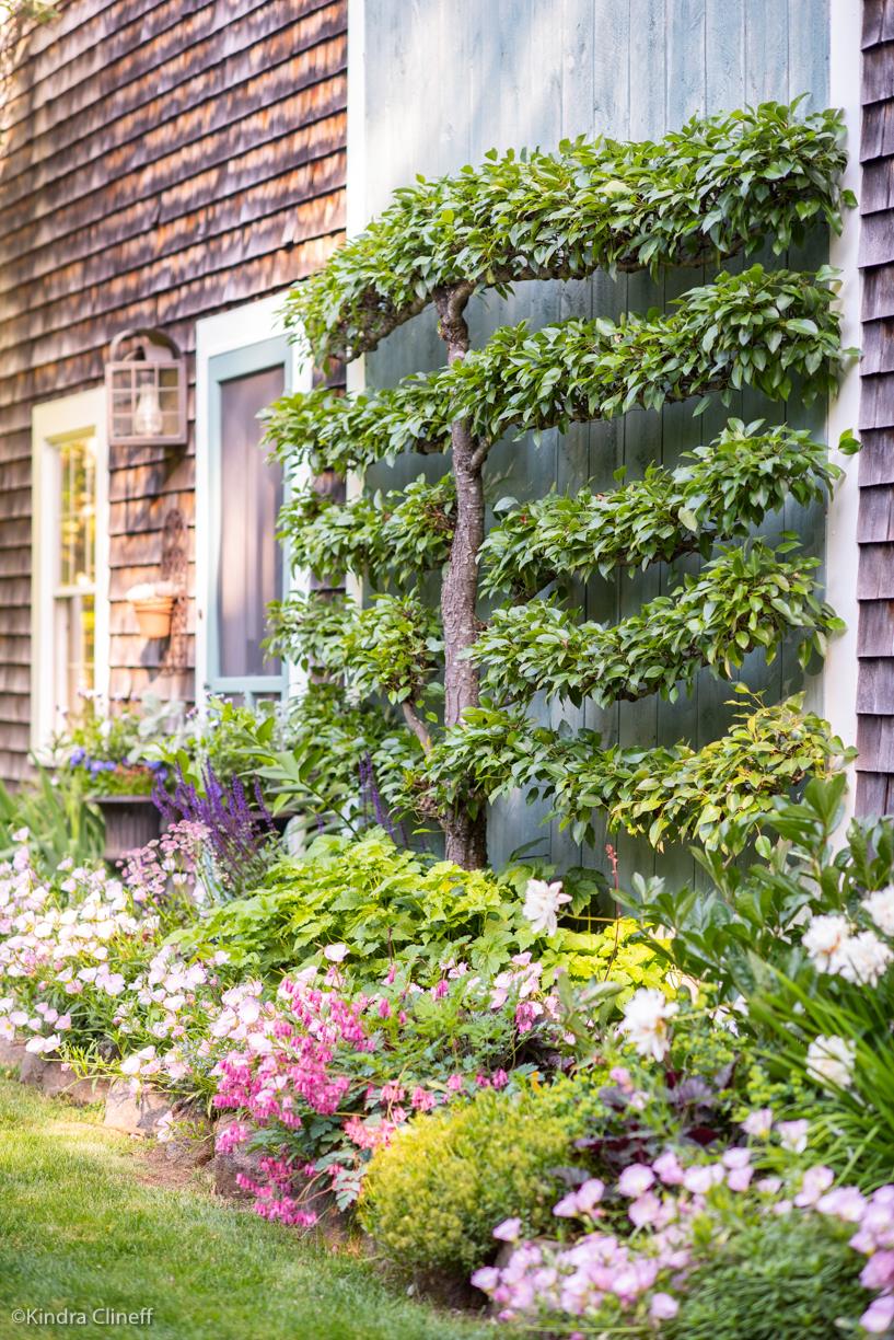 Historic Farm Blossoms Into Heirloom Garden - Northshore Magazine