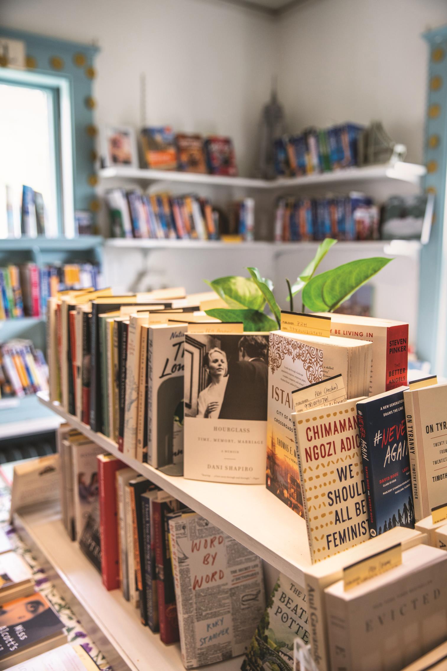 3 Small Local Book Shops on the North Shore - Northshore Magazine