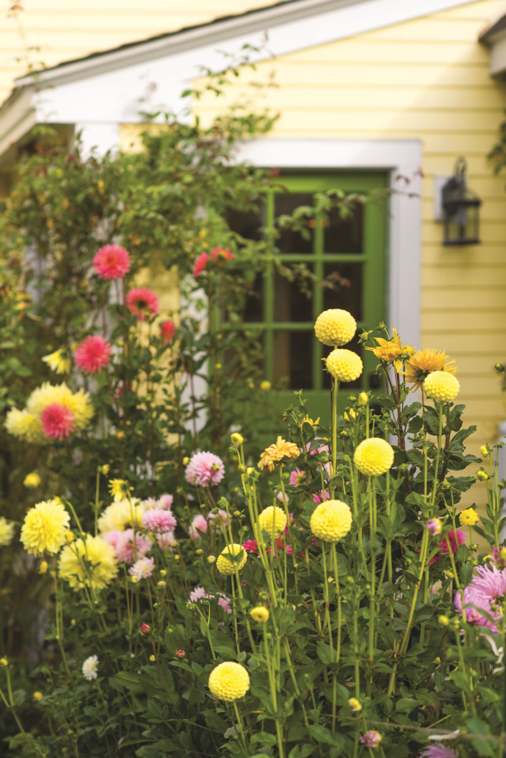 Hamilton Garden is a Summer Delight - Northshore Magazine