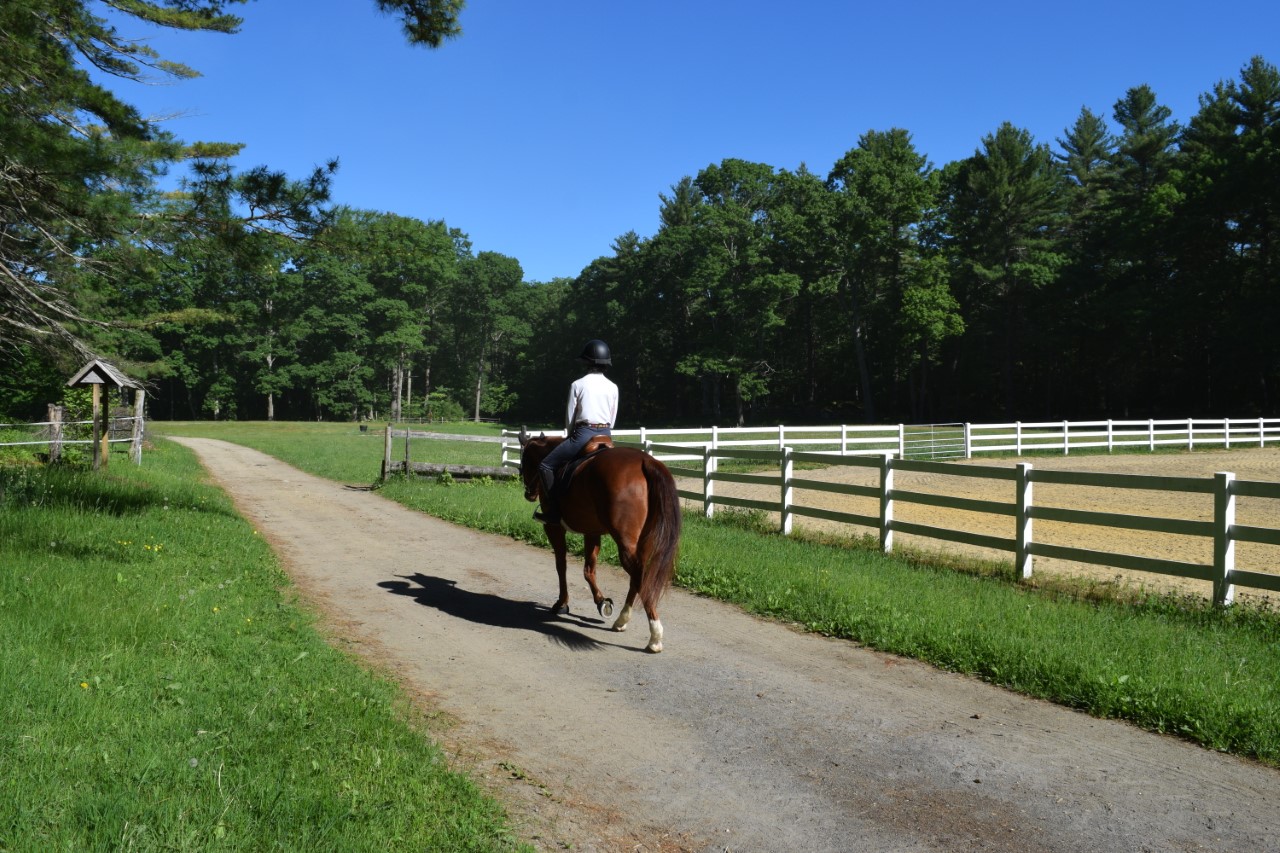Windrush Farm Announces Summer in the Saddle - Northshore Magazine