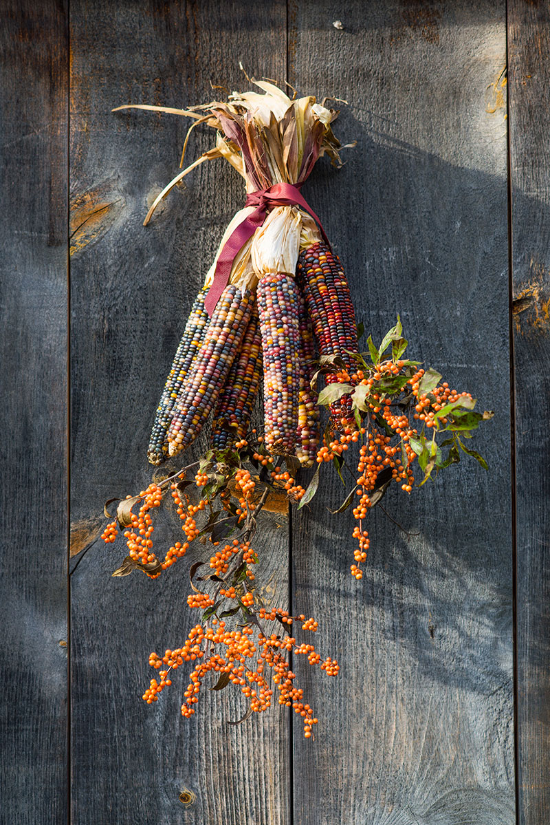 Tendercrop Farm Dries Summer Blooms for Beauty All Year Round ...