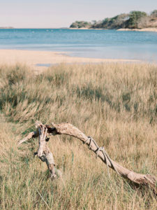 One of Cape Cod's Oldest Inns Offers Off-Season Luxury and Romance ...