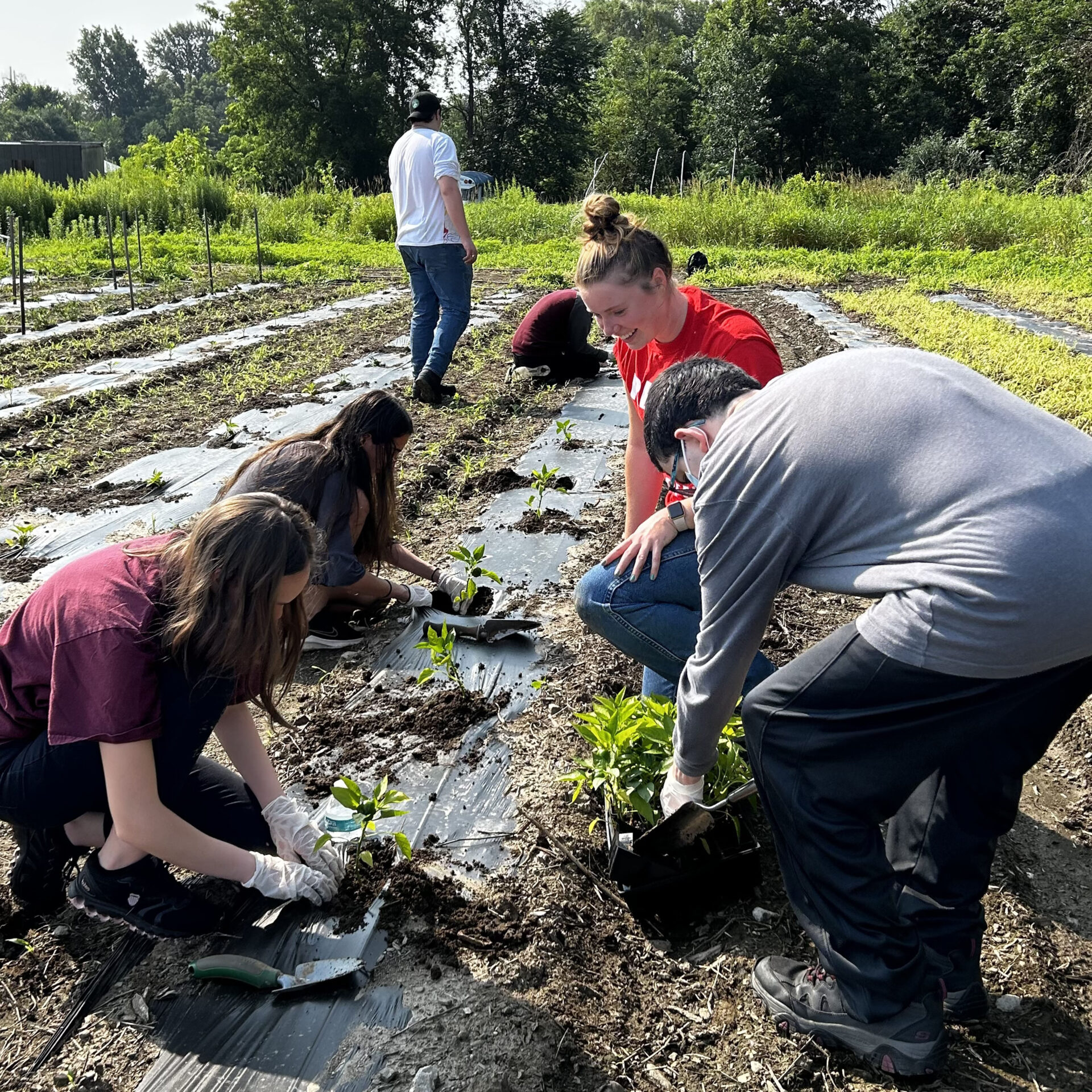 Neurodiverse Students Learn Job Skills at Long Hill Orchard & Farm in ...
