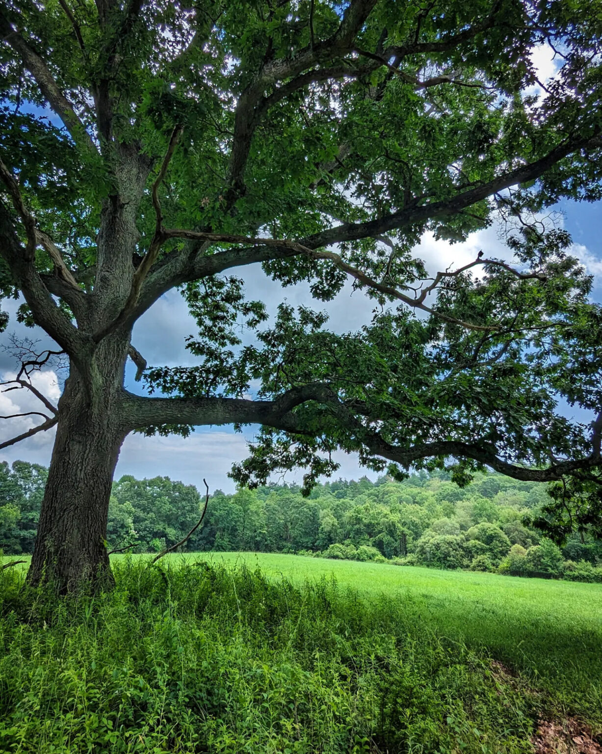 Hiking & Biking North of Boston: Explore Thousands of Acres of Wooded ...