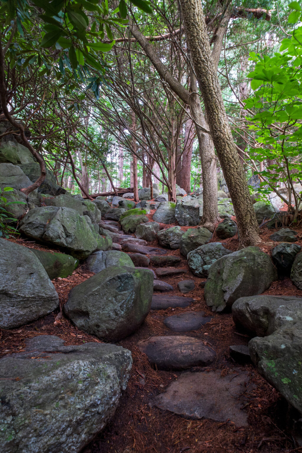 Hiking & Biking North of Boston: Explore Thousands of Acres of Wooded ...