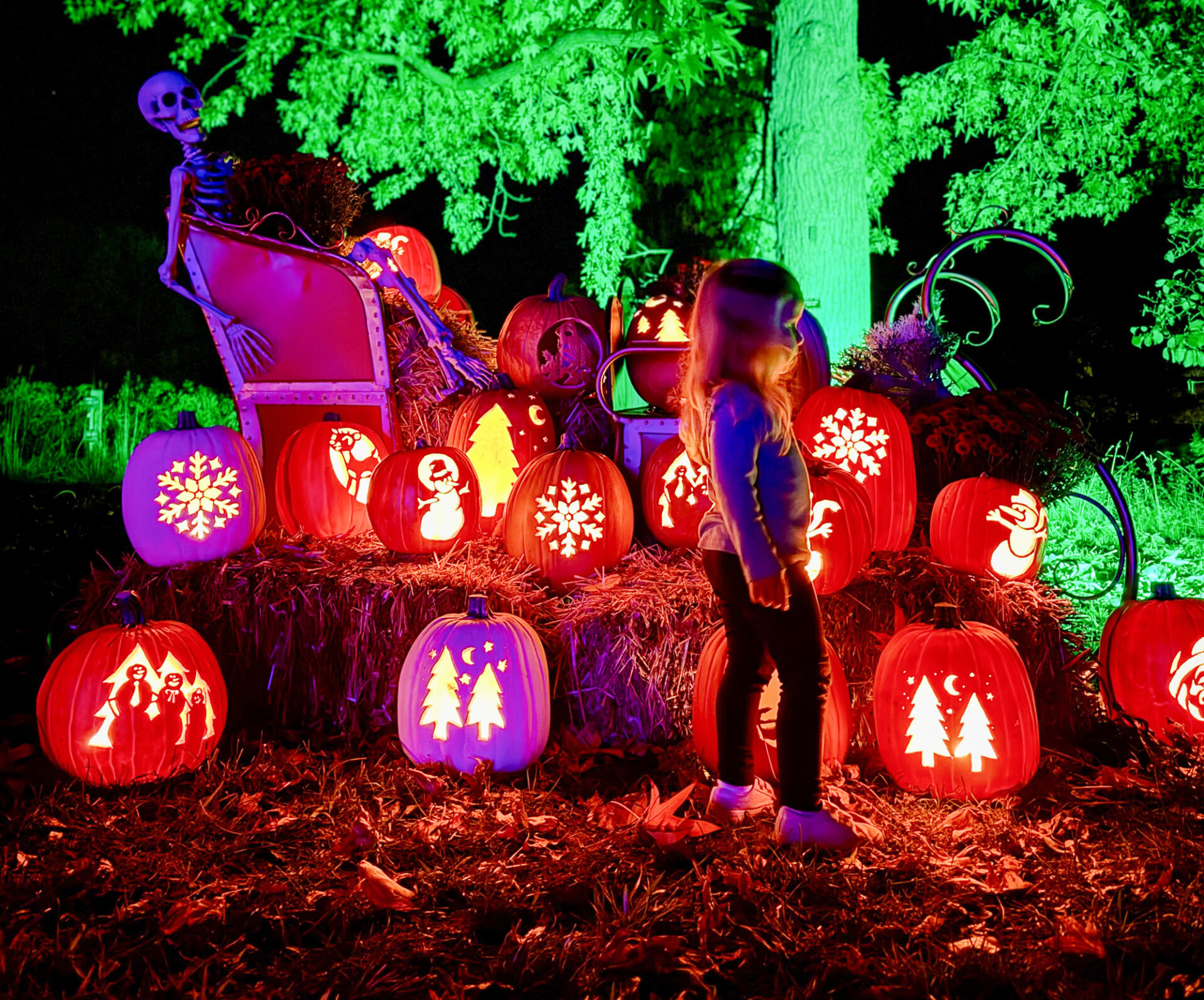 Halloween’s Magic: Beverly’s Long Hill Transforms Into a Spooky ...