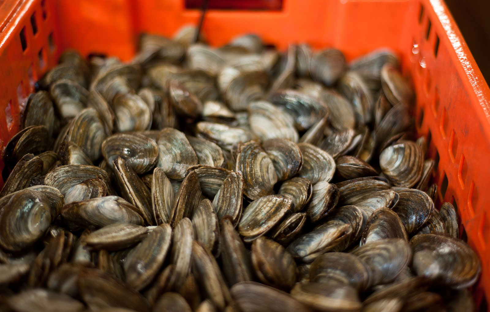 Historical Purification Plant to Remain Open - Northshore Magazine