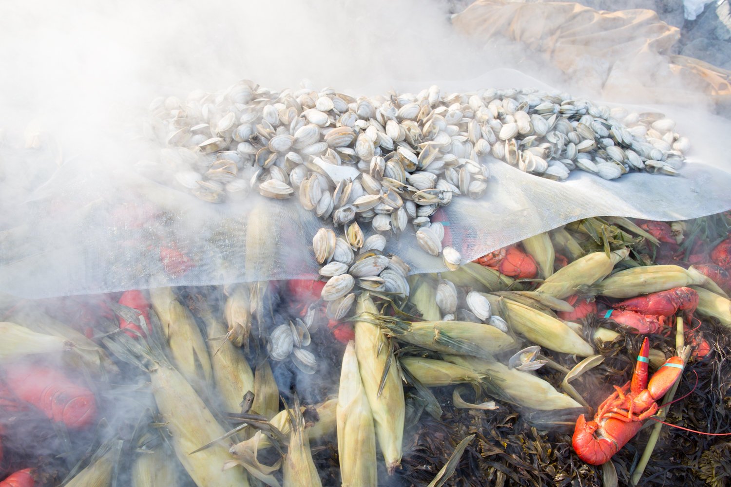 Creating the Perfect Clambake - Northshore Magazine