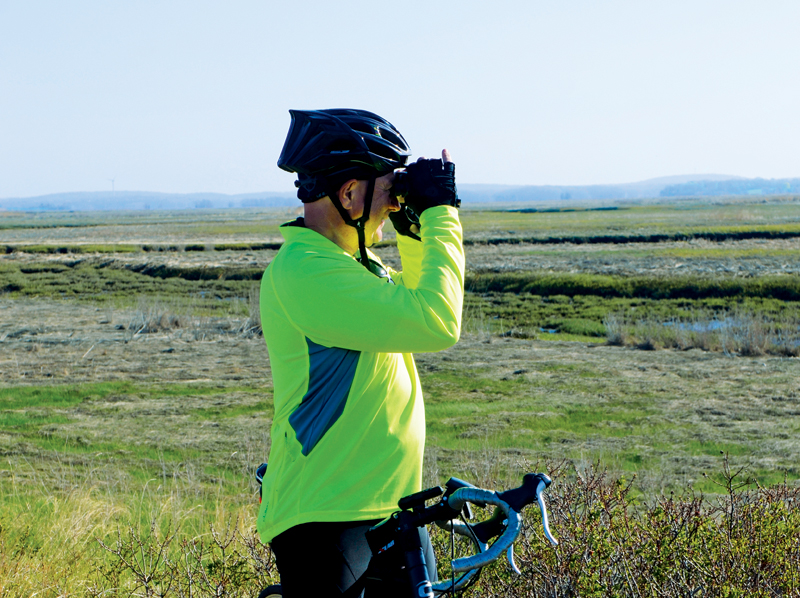 Biking and Bird-Watching On the North Shore - Northshore Magazine