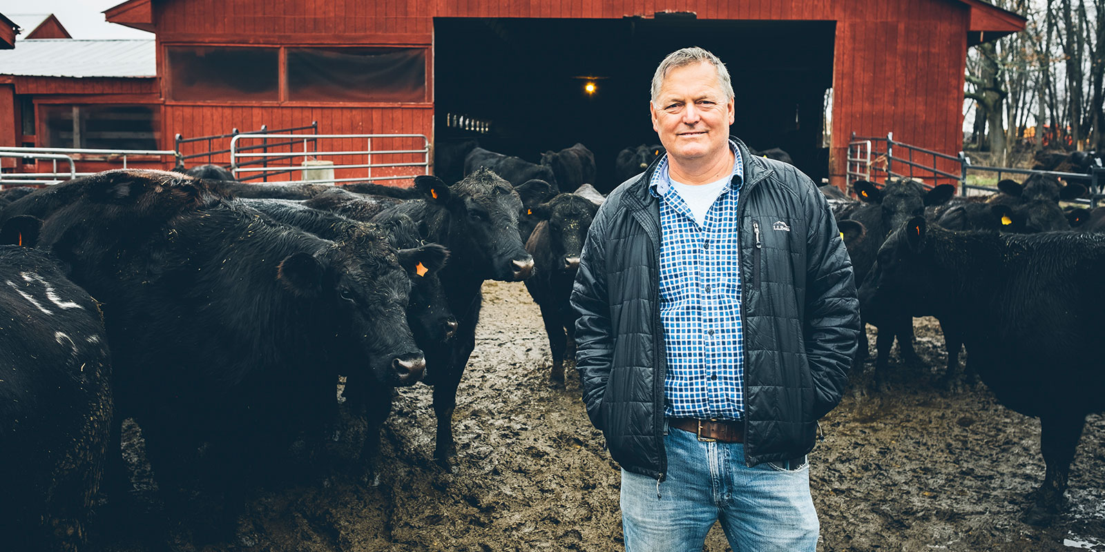 Tendercrop Farm: Everything You Need to Know - Northshore Magazine