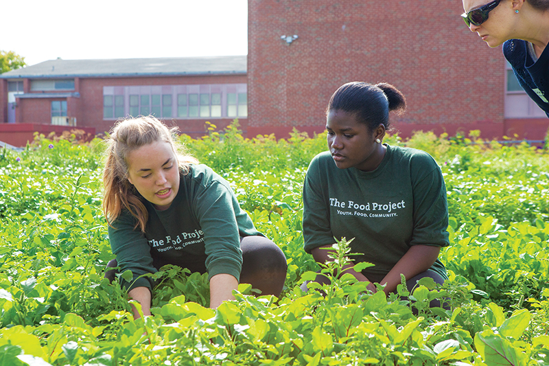 The Food Project Teaches Diversity, Sustainability, and Food Justice ...