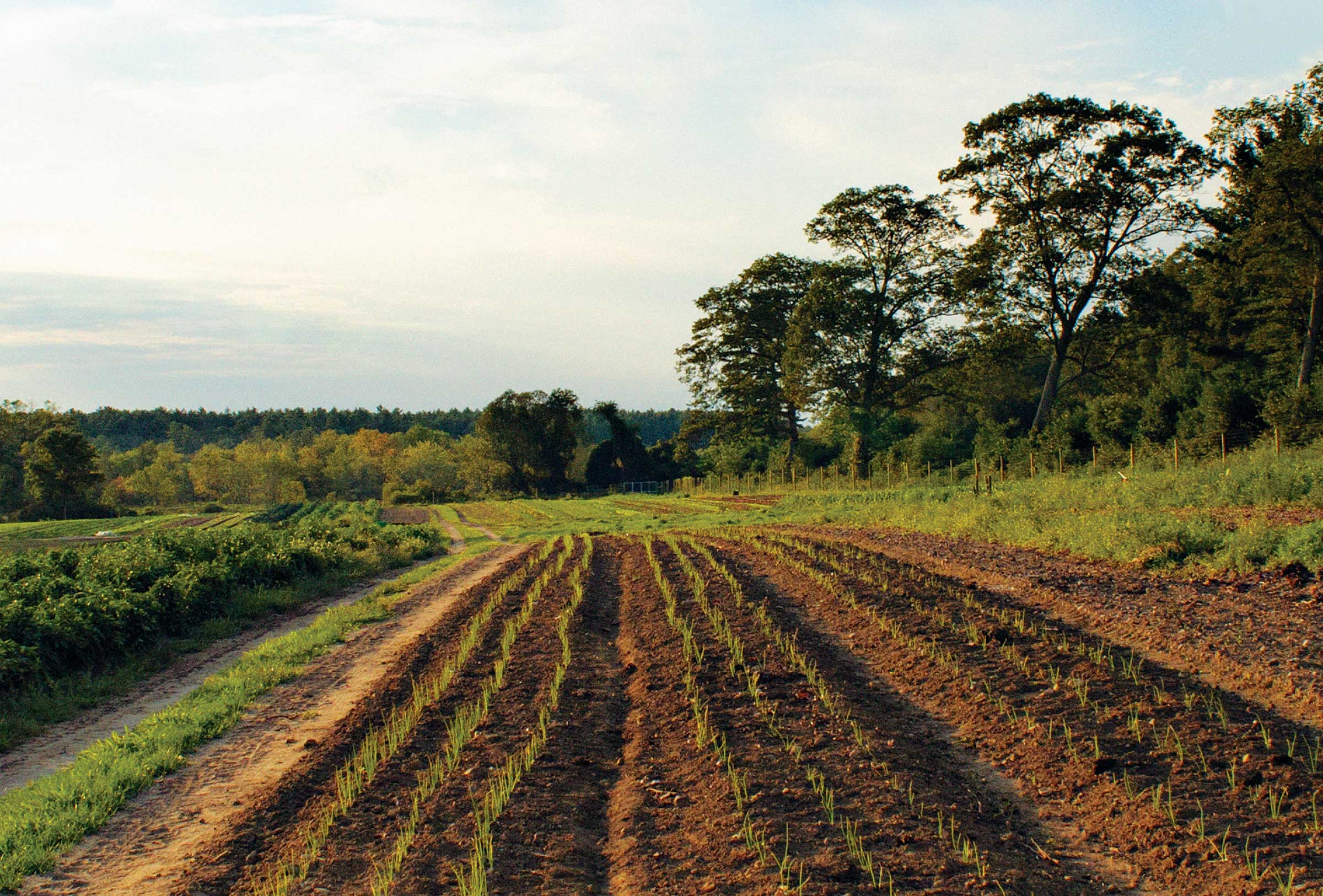 General Patton's Fields - Northshore Magazine